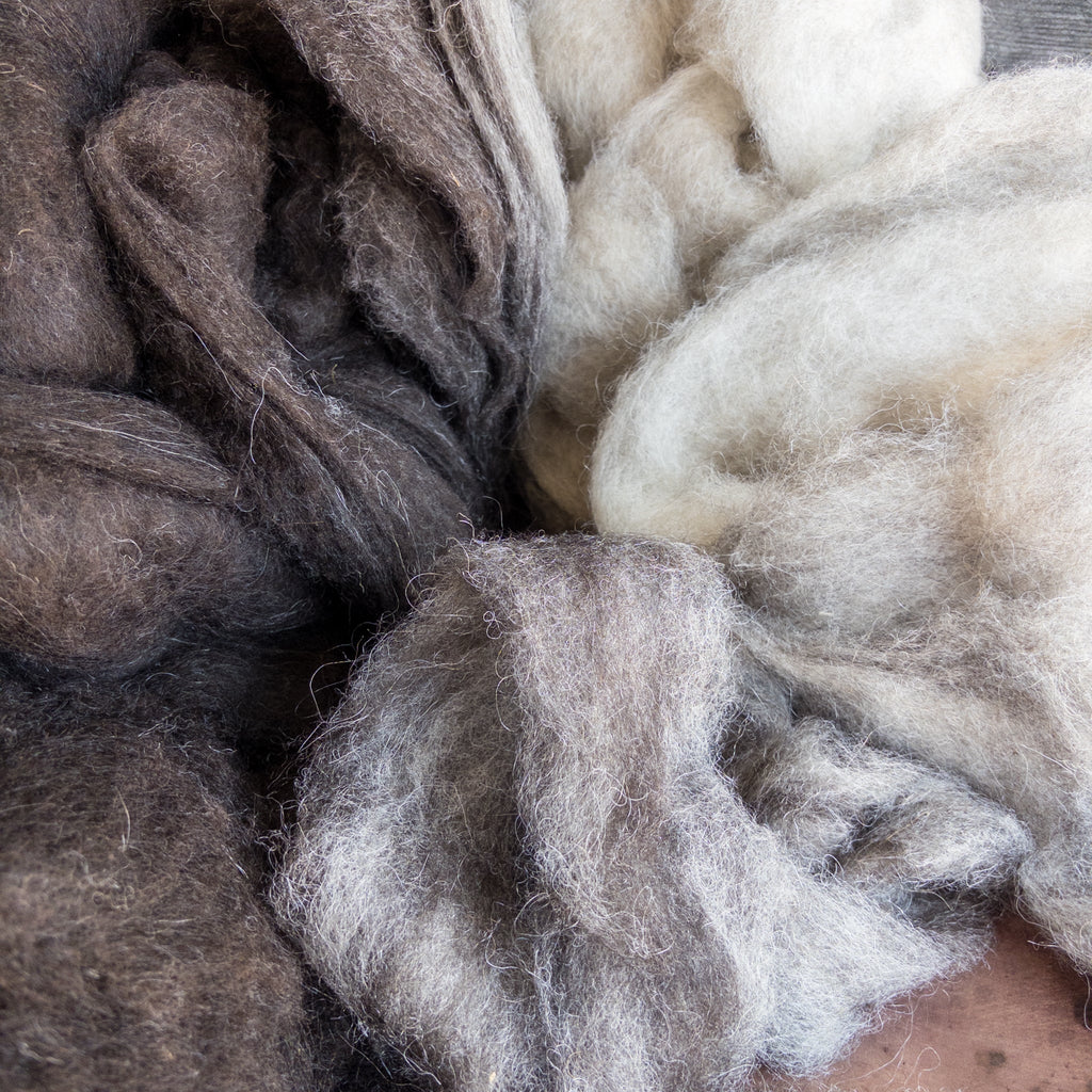 Montana Icelandic Lamb Wool Roving - Black to Gray Ombre 16oz – Copia Cove